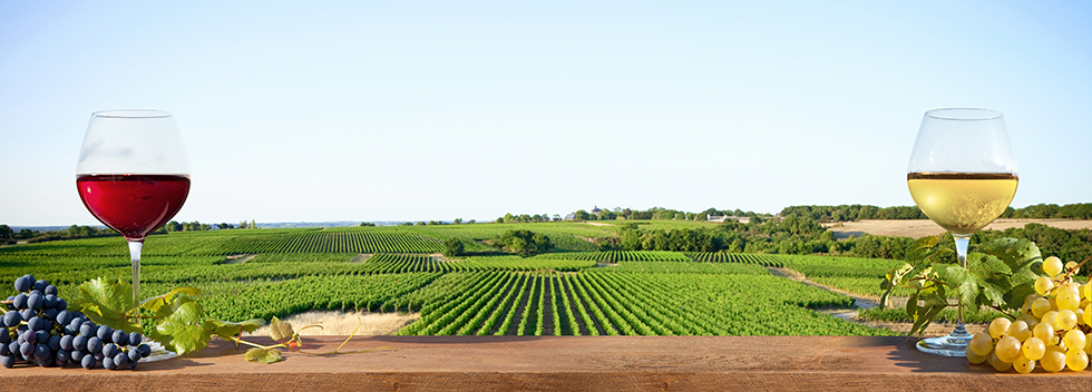 TTBGov - American Viticultural Area (AVA)