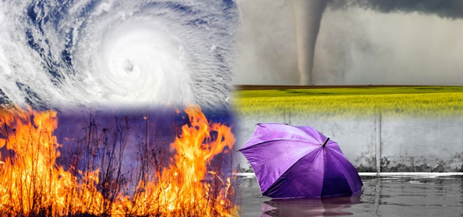 TTBGov - When Disaster Strikes